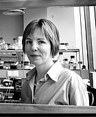 Parcours - Julie Bouckaert - Université de Lille